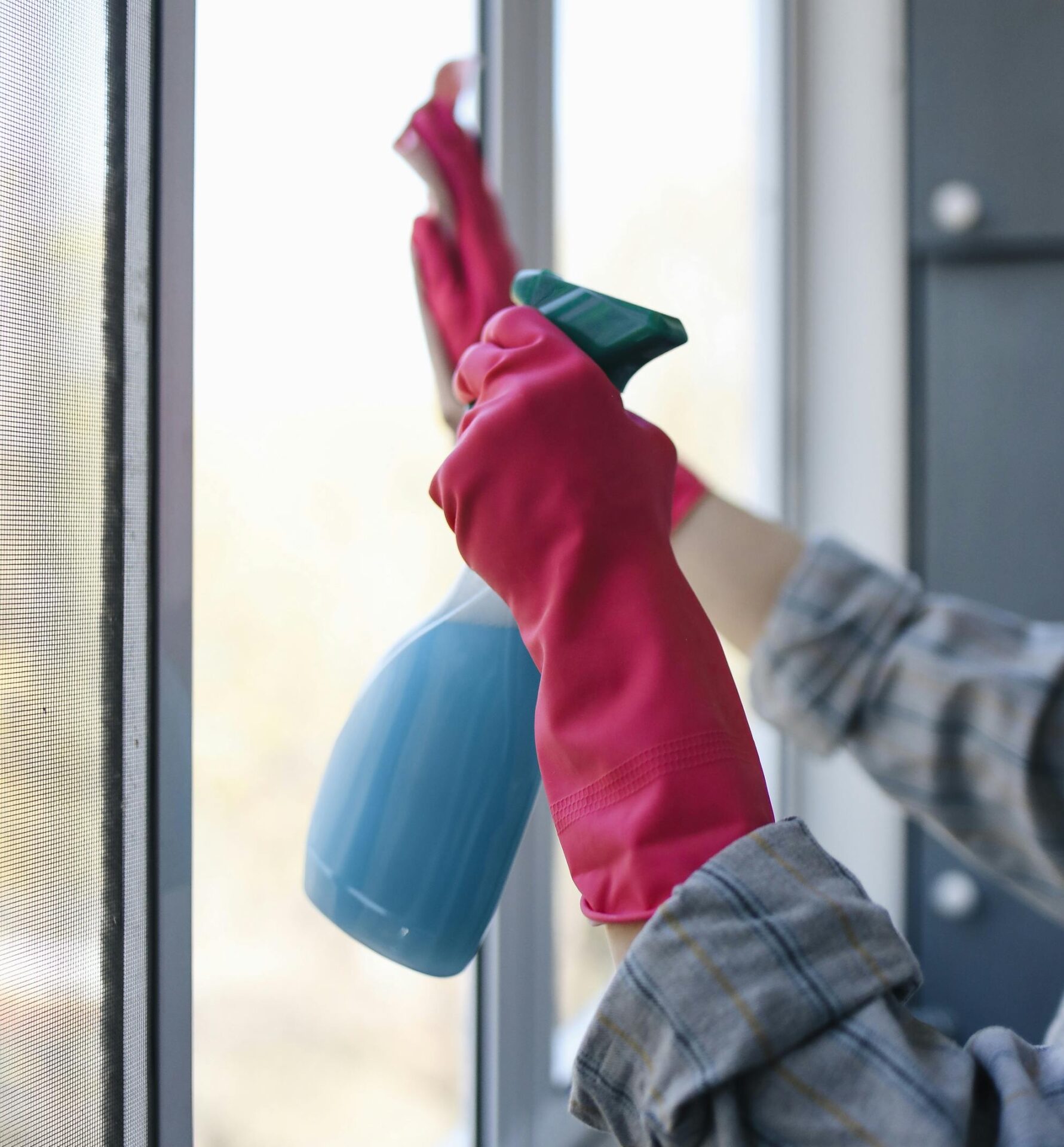 News & Blog - 5 Expert Tips on Window Care